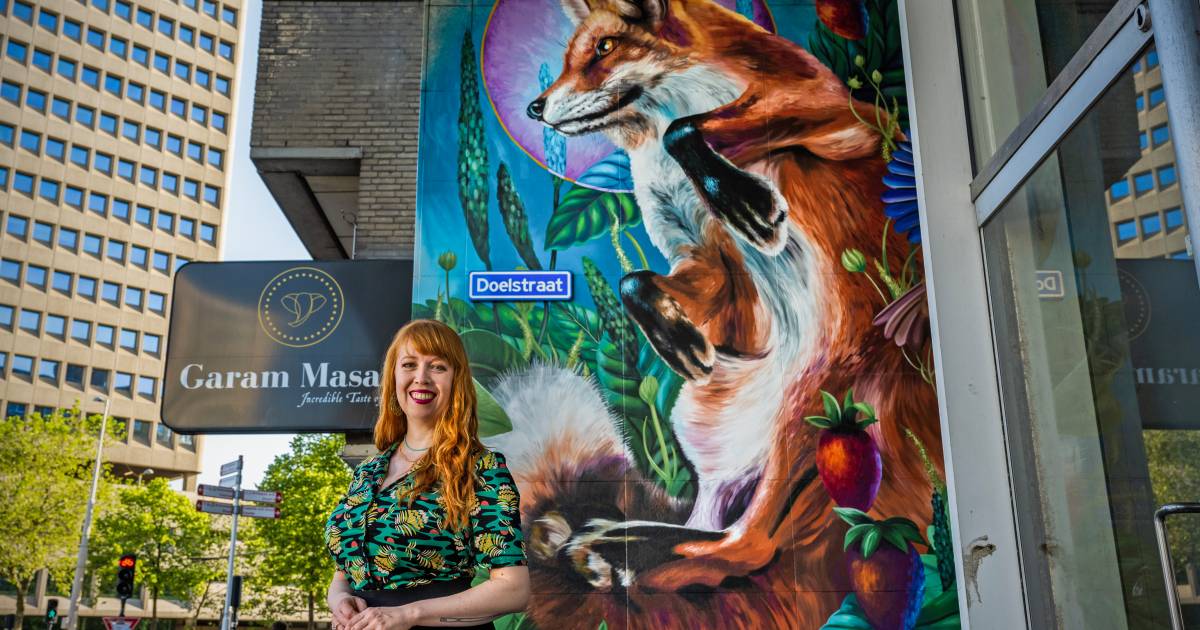 Rotterdammer Nina schildert muren rond de wereld: ‘Van de een op de ...