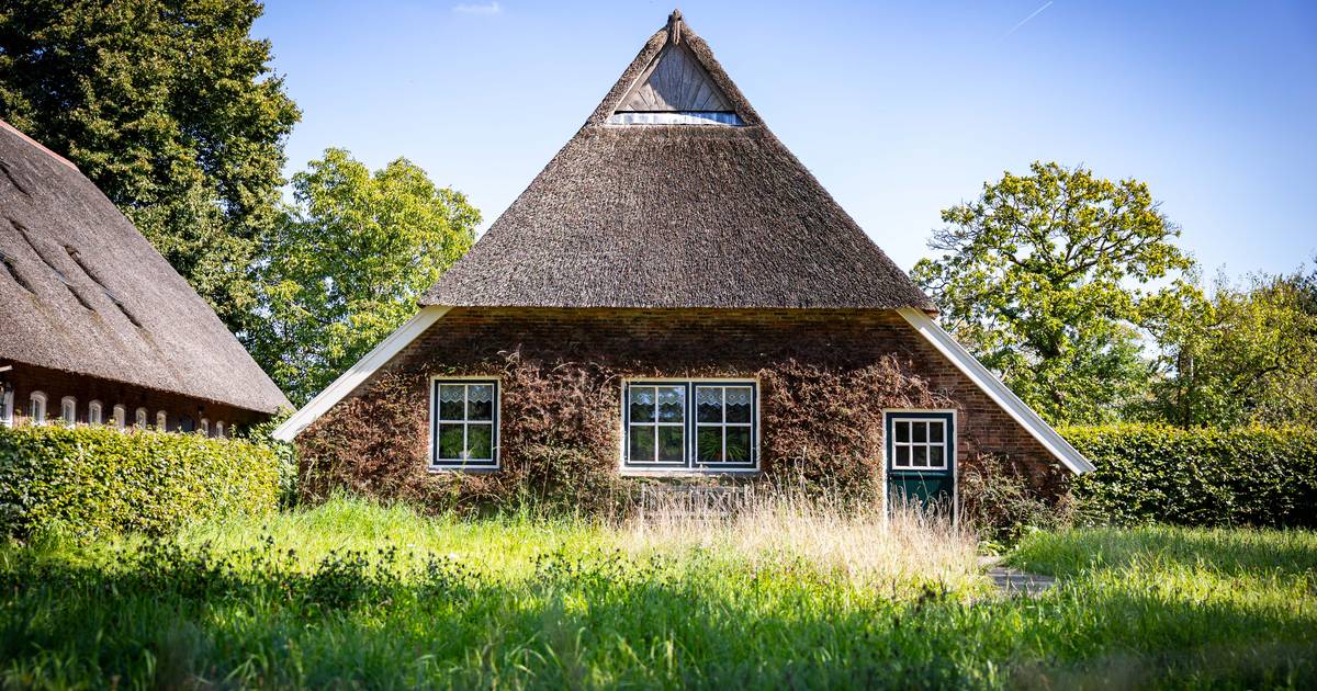 Trots op Elsenerbroek, het land van de schilder Jan Broeze: ‘Wat zie je ...