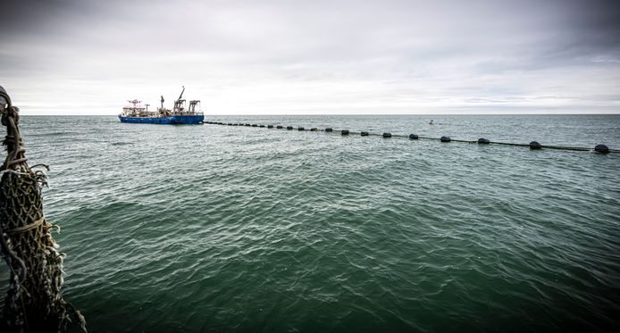 Uitdagend experiment met het oogsten van mosselzaad op open zee: ‘Voor ...