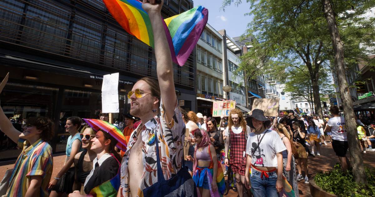 Eindelijk een Pride Walk: een bont gezelschap viert de liefde en een ...