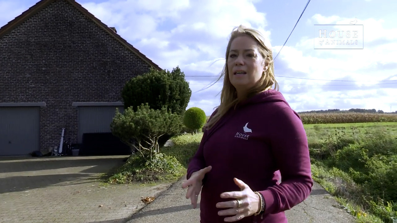 Veroordeeld voor verwaarlozen van honden gaat broodfokker Kevin T. door ...