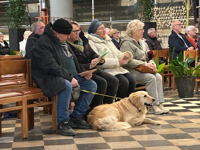 Pastoor zegent schattige viervoeters in Jette | Brussel | hln.be