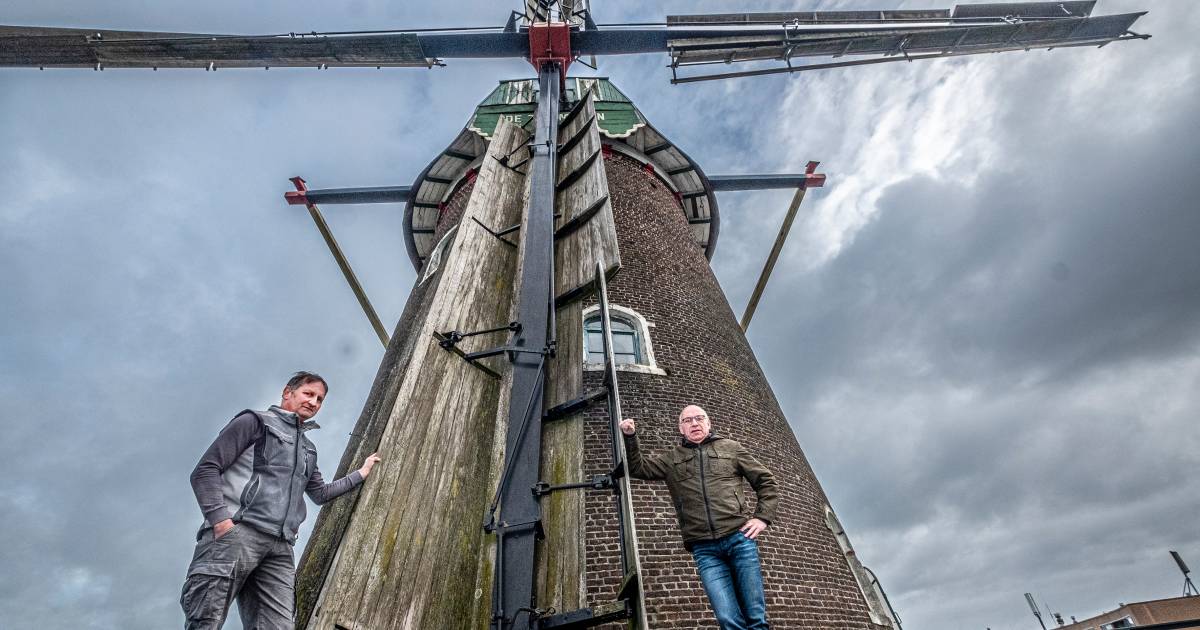 Nieuwe hoop voor Groesbeekse molen die voor het eerst meedoet aan ...