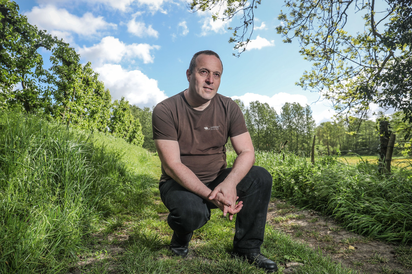 Eerste wolf in Vlaams-Brabant gespot in 200 jaar: “Binnen vijf of tien ...