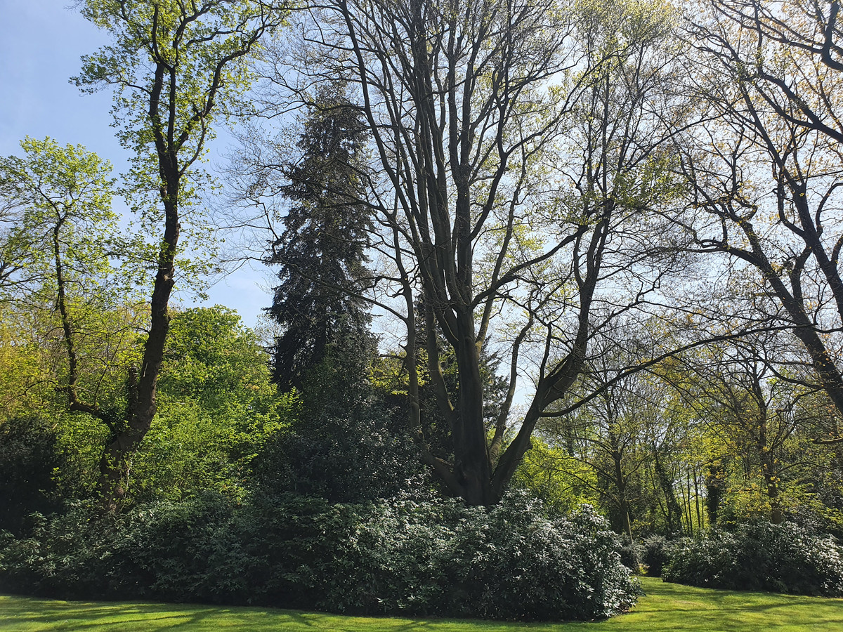 IN BEELD. Een unieke blik op het prachtige park achter ‘Villa Holganza ...