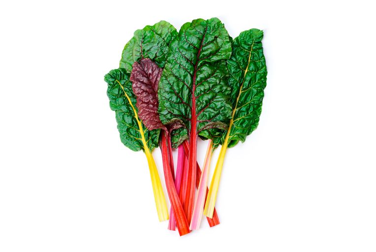 Kleurrijke stengel | De Morgen