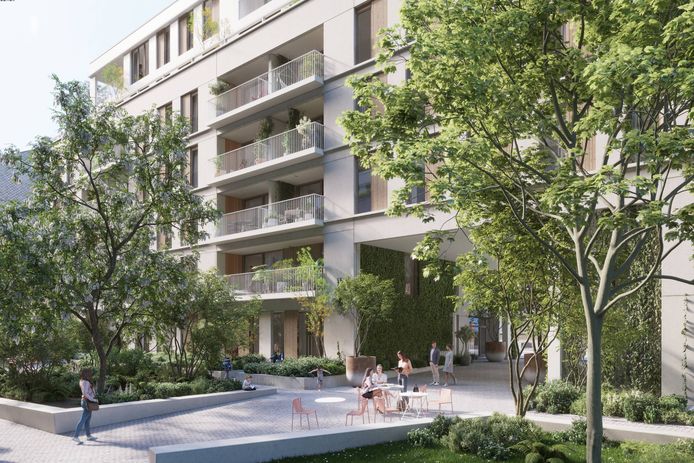 Thuiskomen in een nieuwe stadsoase? Ontdek Mandelhof in Roeselare ...