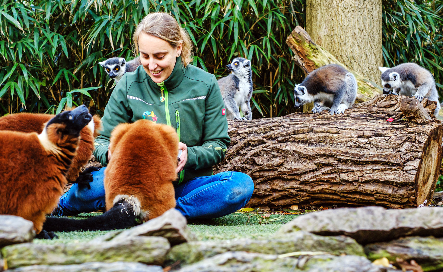 Leonie maakt zich zorgen over apen: ‘Als mensen honger lijden, worden ...