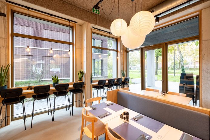 NET OPEN. Kaatje (25) ruilt trailer in voor bistro Beanice: “Het was ...