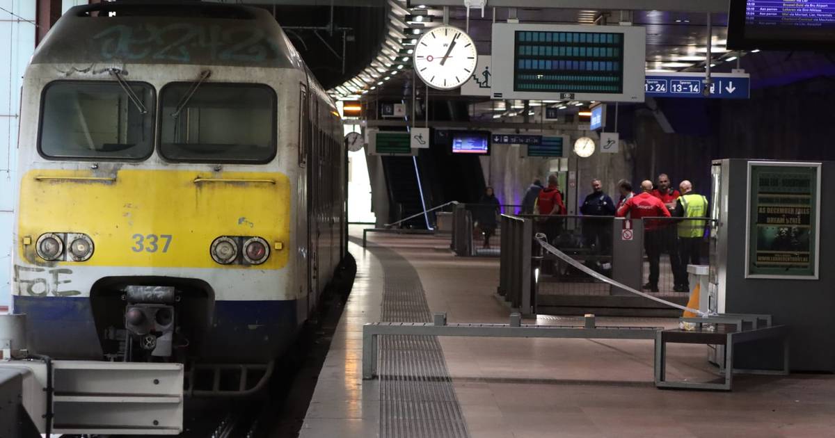 Sluikstort en verkeersovertredingen beboet in Deurne-Noord en rond ...