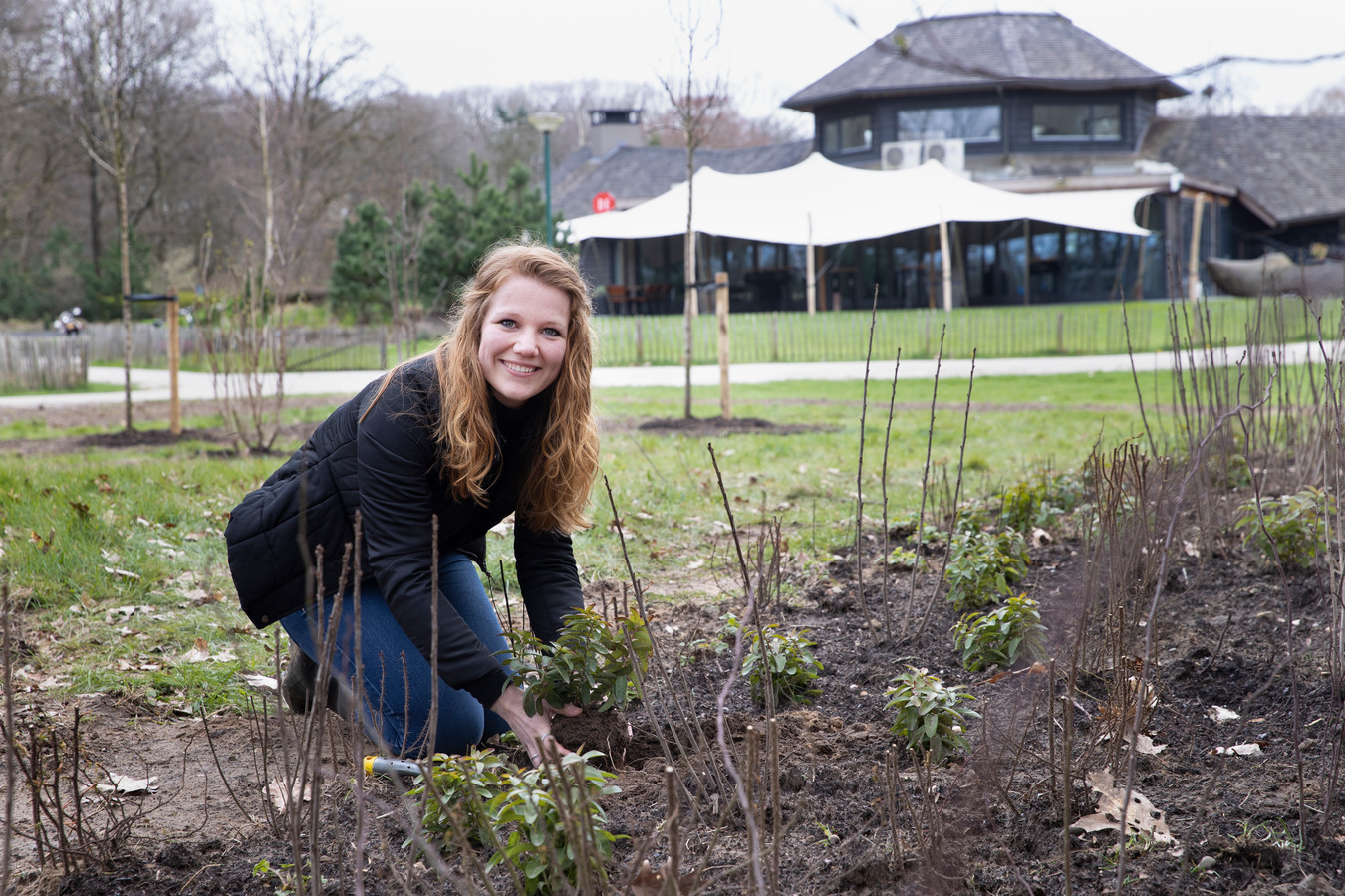 Bewuster worden van natuur via vlindertuin: ‘In juli hoop ik allerlei ...