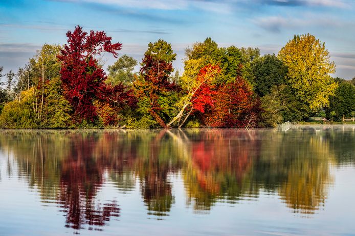 Van de Donkmeerloop tot een wandeling met alpaca’s: met deze 7 tips in ...