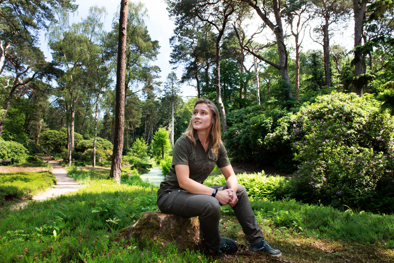 Stukje bos behouden? Bij boswachter Alex kan dat al voor vijf euro ...