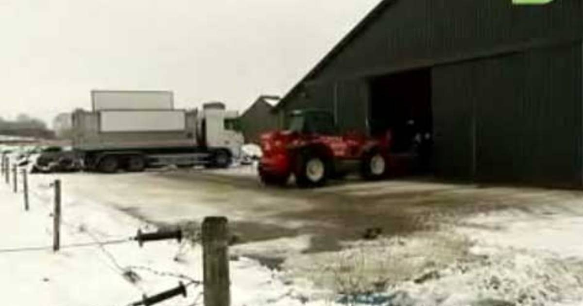 Ruiming van 360 geiten bij bedrijf aan Mastdreef | Breda | bndestem.nl