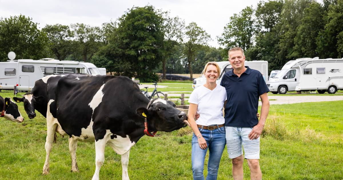 Ze leerden elkaar kennen bij Boer Zoekt Vrouw, achttien jaar later ...