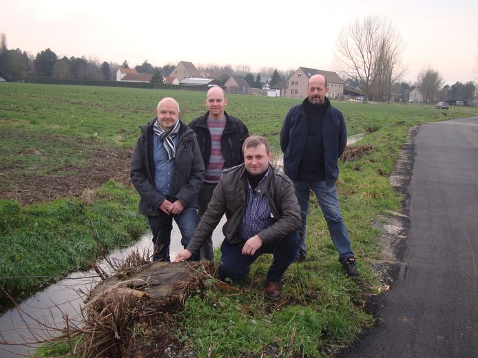 Gemeente plant 90 nieuwe bomen | Zele | hln.be
