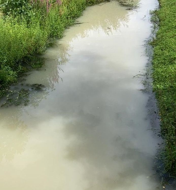 Wit water in Genemuiden, mysterie dagen later opgelost: dit was de ...