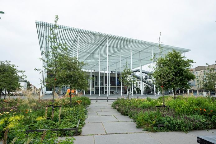 ‘Atlas op het plein’ palmt Theaterplein in | Antwerpen | hln.be