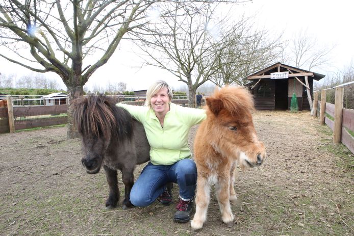 Polly’s Ranch krijgt wél erkenning als zorgboerderij, maar géén ...