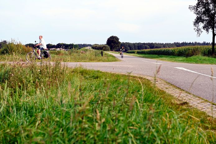Papier uit bermgras, dit Alphense bedrijf flikt het | Alphen aan den ...