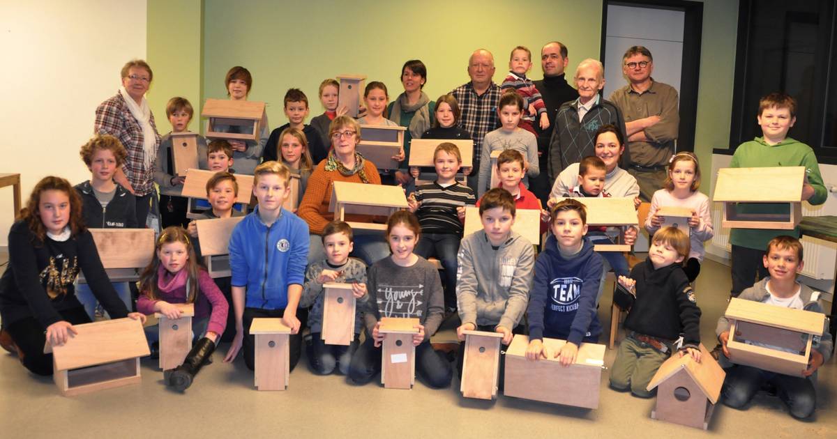 Kinderen maken nestkastjes in De Sceure | Vleteren | hln.be