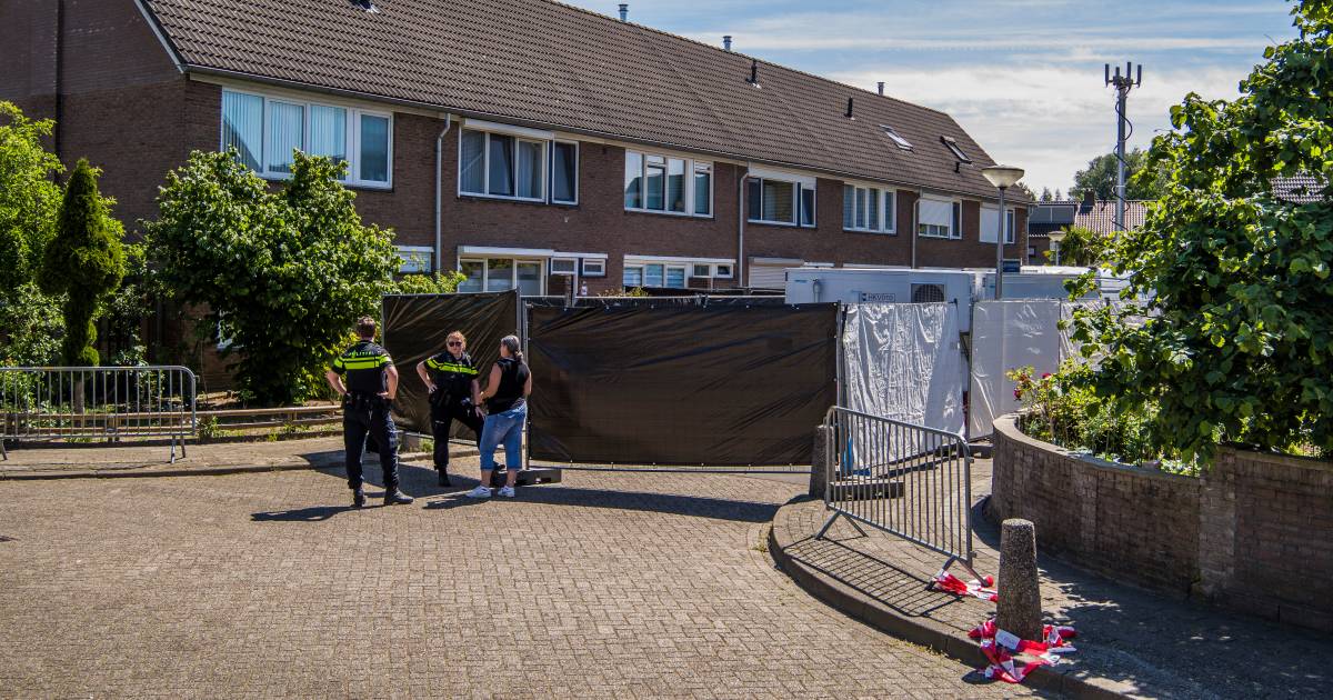 OM wil 5 jaar cel en tbs met dwangverpleging voor Haaksbergse moeder na doden van pasgeboren ...