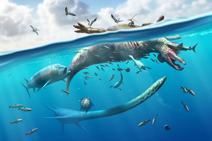 Steeds meer duidelijk over dino's: zo kon de T-rex tien keer zo hard ...