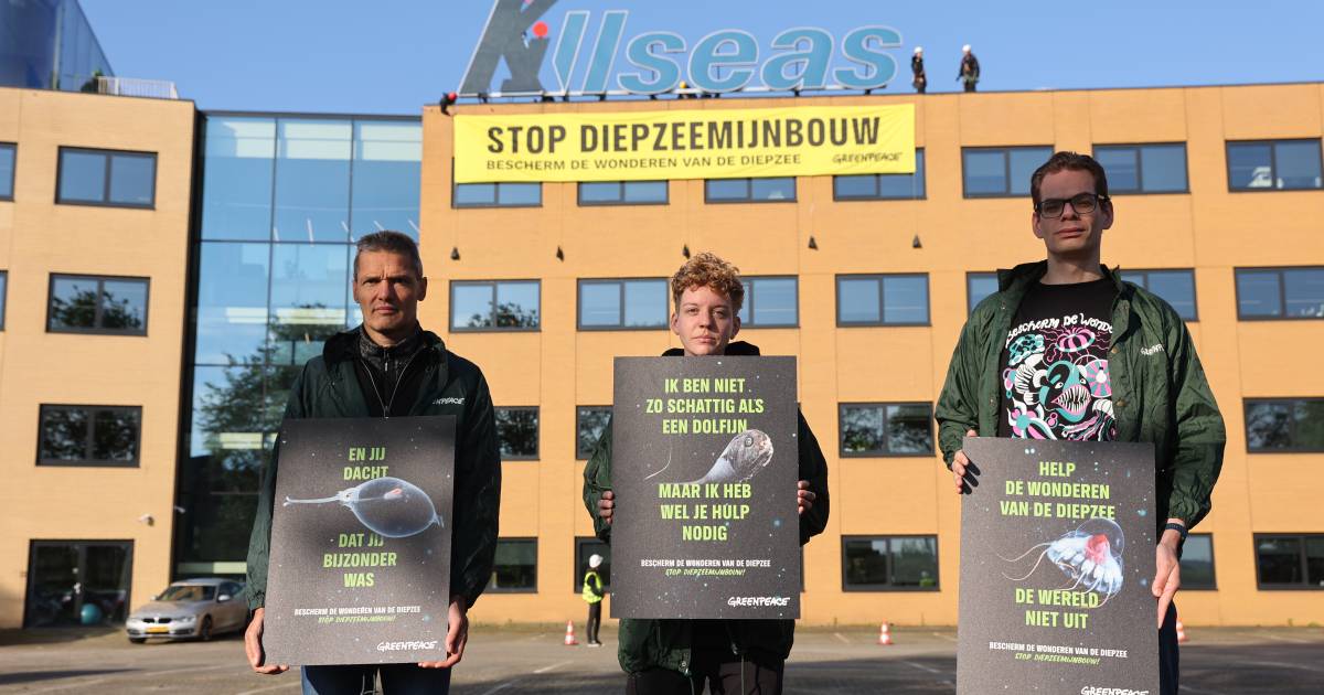 Greenpeace protesteert op dak Allseas in Delft: ‘Winnen metalen op ...