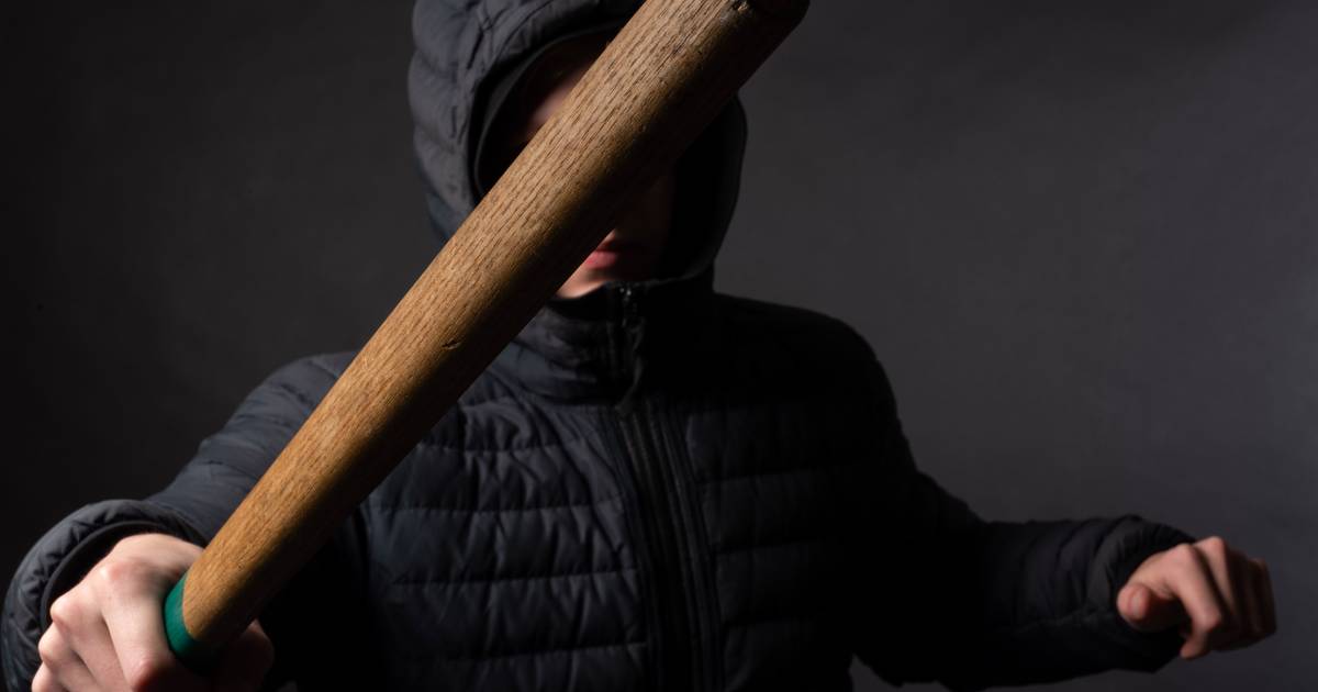 Man (52) slaat met knuppel tegen verkeersborden en gooit hem ook nog ...