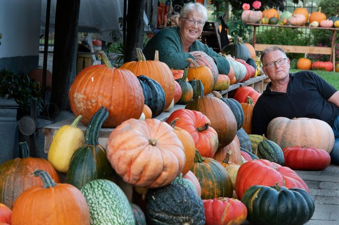 Pompoenen in alle soorten, kleuren en maten in het pompoenwalhalla van ...