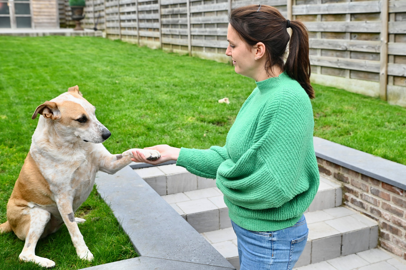 Mélody (33) stelt bucketlist op voor terminaal zieke hond Jenny (9 ... Mélody (33) stelt bucketlist op voor terminaal zieke hond Jenny (9 ...