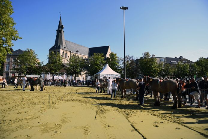 Beestenmarkt blijft traditie op 70ste Jaarmarkt | Leuven | hln.be