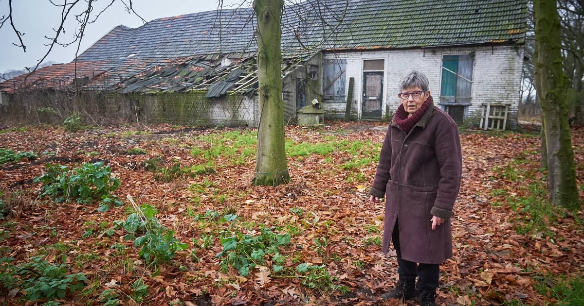 Nel Jacobs uit Venhorst is nog niet uitgestreden | Uden, Veghel e.o ...