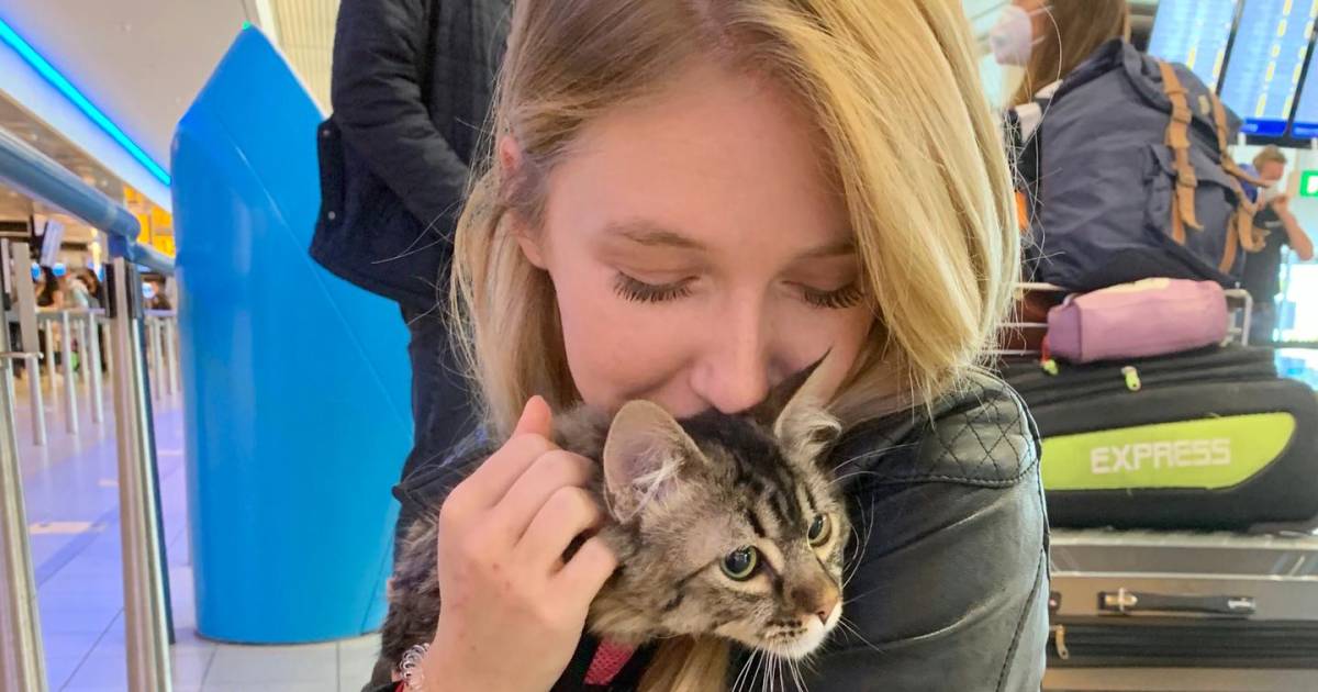 Katje Lee vliegt terug naar Peru voor verplichte quarantaine: “Op 1 ...