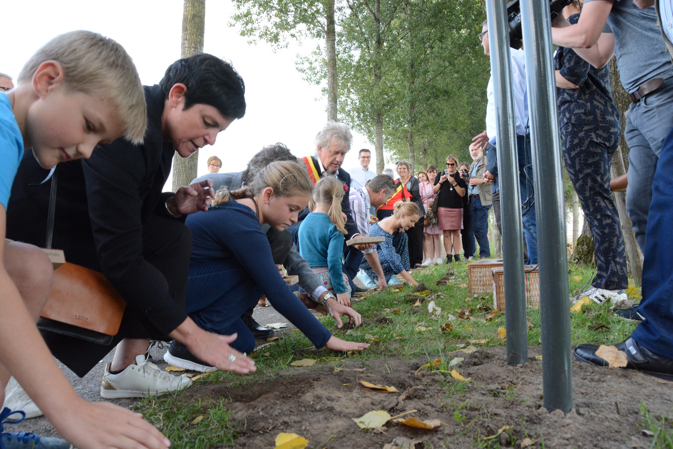 De Dodendraad herleeft met lint van krokussen | Foto | hln.be