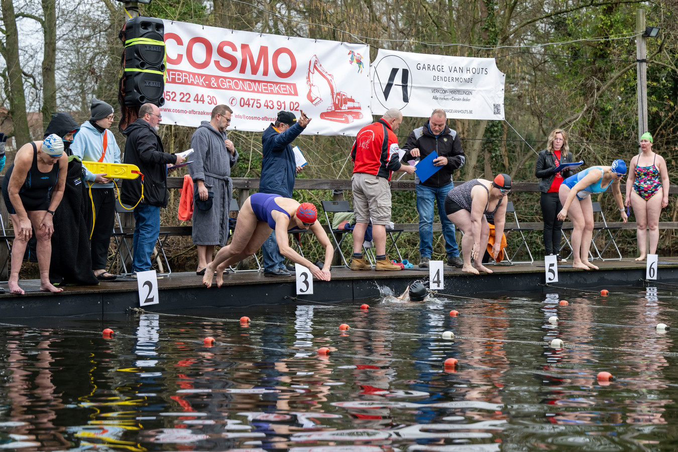 Dendermondse IJsberen sluiten seizoen af met IJsberenfestival | Foto ...