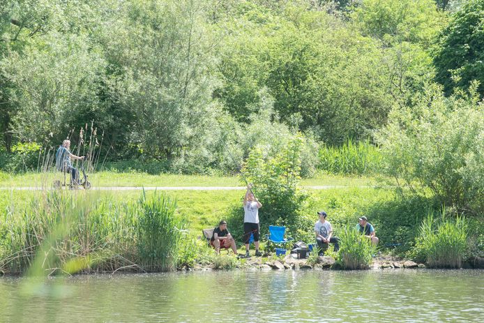 Hengelaars genieten van het zonnetje langs de Schelde: “De vissen ...