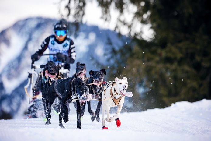 KIJK. Voormalig wereldkampioen Stefan Goris (36) trekt met elf ...
