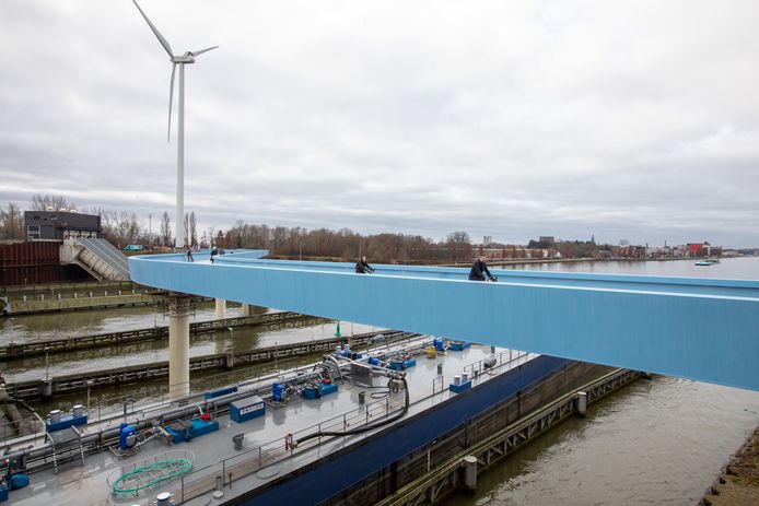 Fietsbrug ‘De Langeman' over Albertkanaal in Godsheide officieel geopend | Hasselt | hln.be