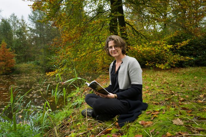 Wandelen in Twente: pelgrimspad verbindt natuur, historie en ...
