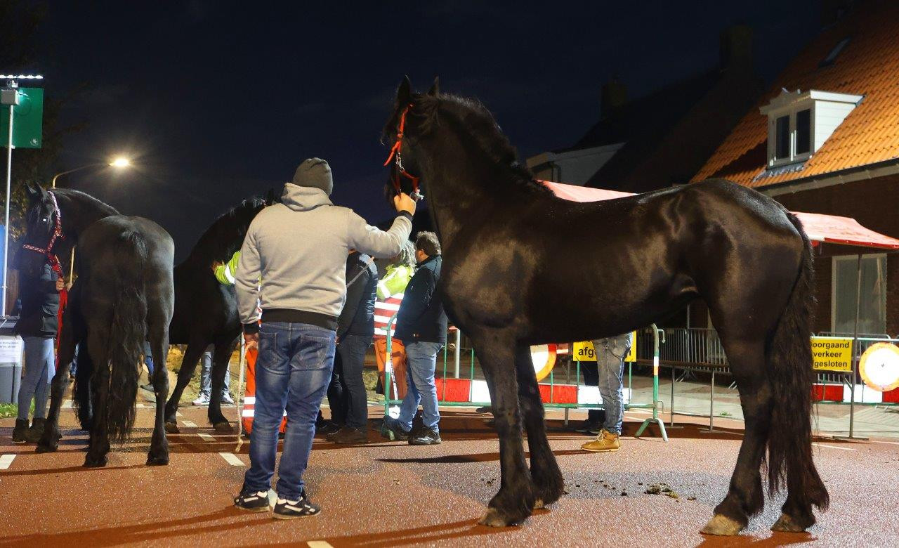 Slotstand op paardenmarkt in Hedel: 644 paarden aangevoerd, een ...