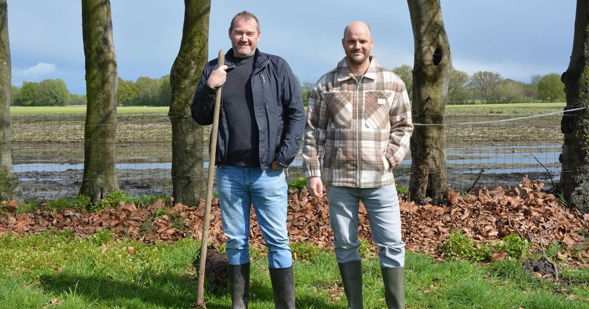 Ex-bestuursleden Vlaams Belang richten mee lokale afdeling van Boer ...