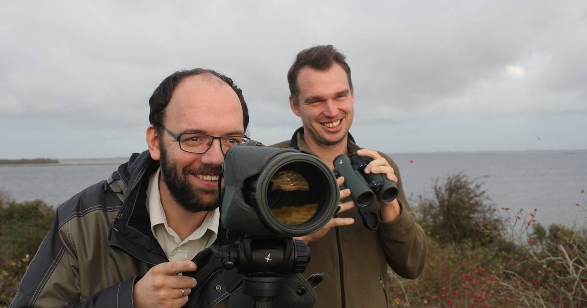 Zelfs boswachters Piet en Merijn kijken nu anders naar de Grevelingen ...