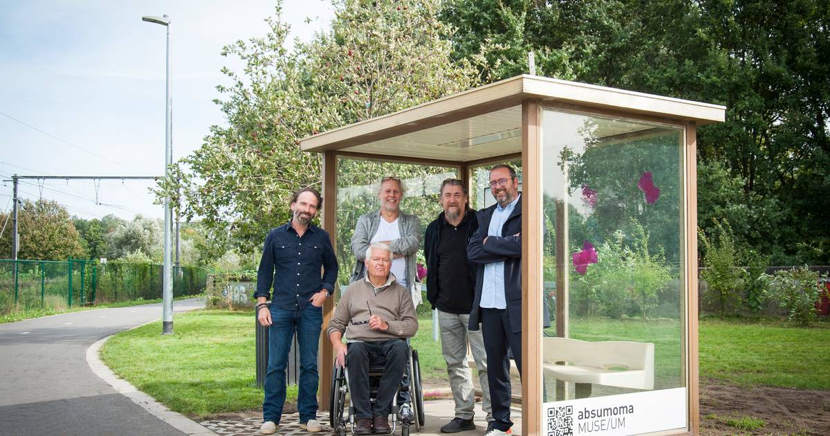 ‘Bushalte’ langs fietssnelweg blijkt kunstproject | Rotselaar | hln.be