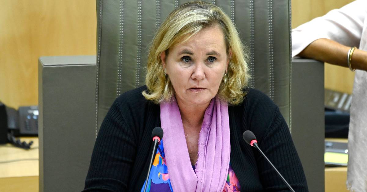 La présidente du Parlement flamand Liesbeth Homans testée positive ...