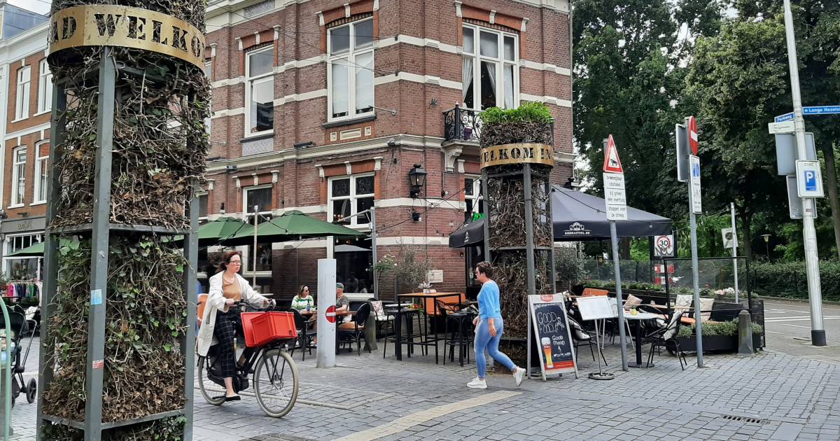 Vlak voor de Vierdaagse is de klimop wel erg fanatiek teruggesnoeid ...