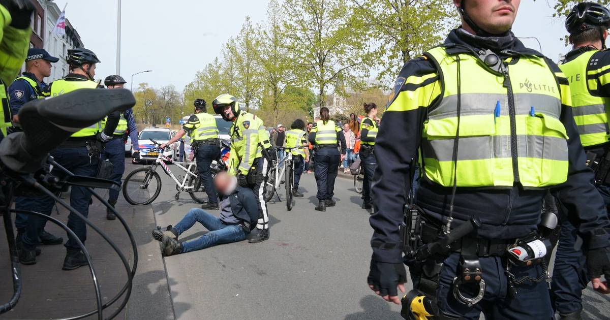 Bredanaar die boa in gezicht beet op Koningsdag, ontsnapt aan celstraf ...