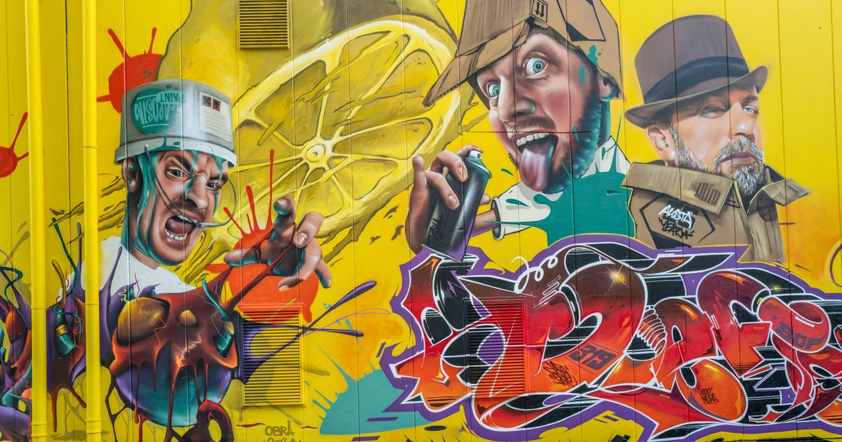 Moet Aalst buurten nieuw leven inblazen met prachtige straatkunst ...