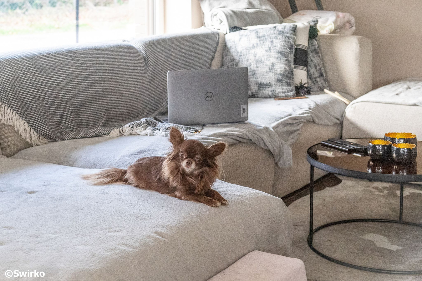 Mike (52) en Hilde (50) krijgen drie jaar vliegverbod van TUI: “Ons ...