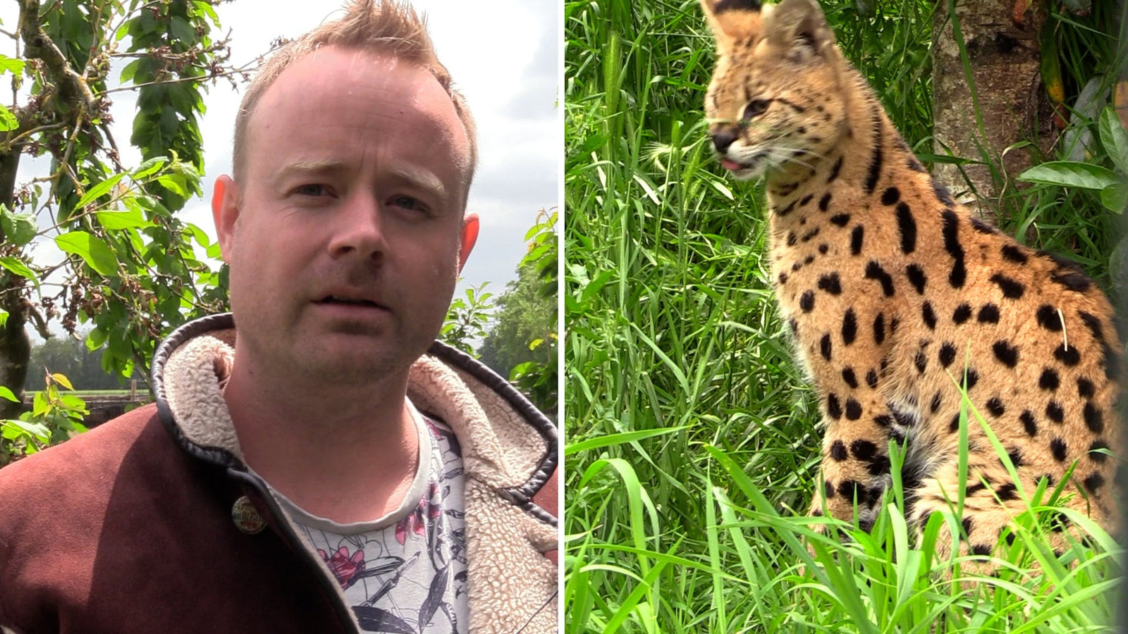 ‘Kuifje’ in het vizier van politie en NVWA, maar hij is niet onder de ...